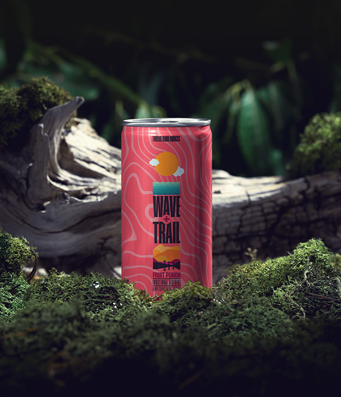 Wave & Trail – Wave & Trail