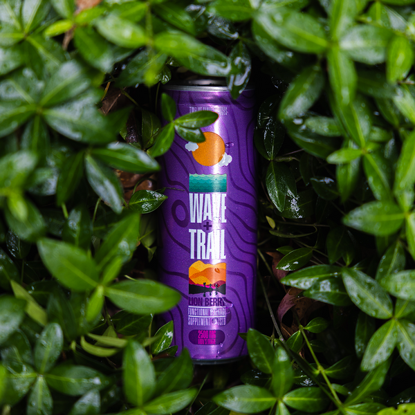 Lion Berry – Wave & Trail